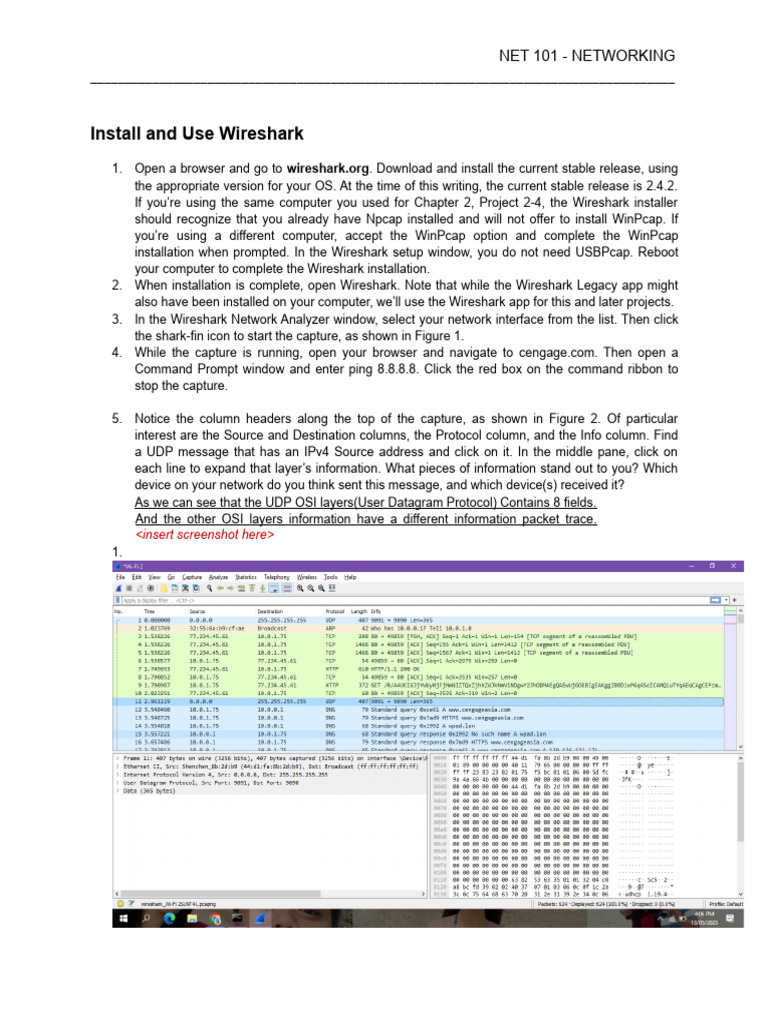 Princess | PDF | Transmission Control Protocol | Computer Network