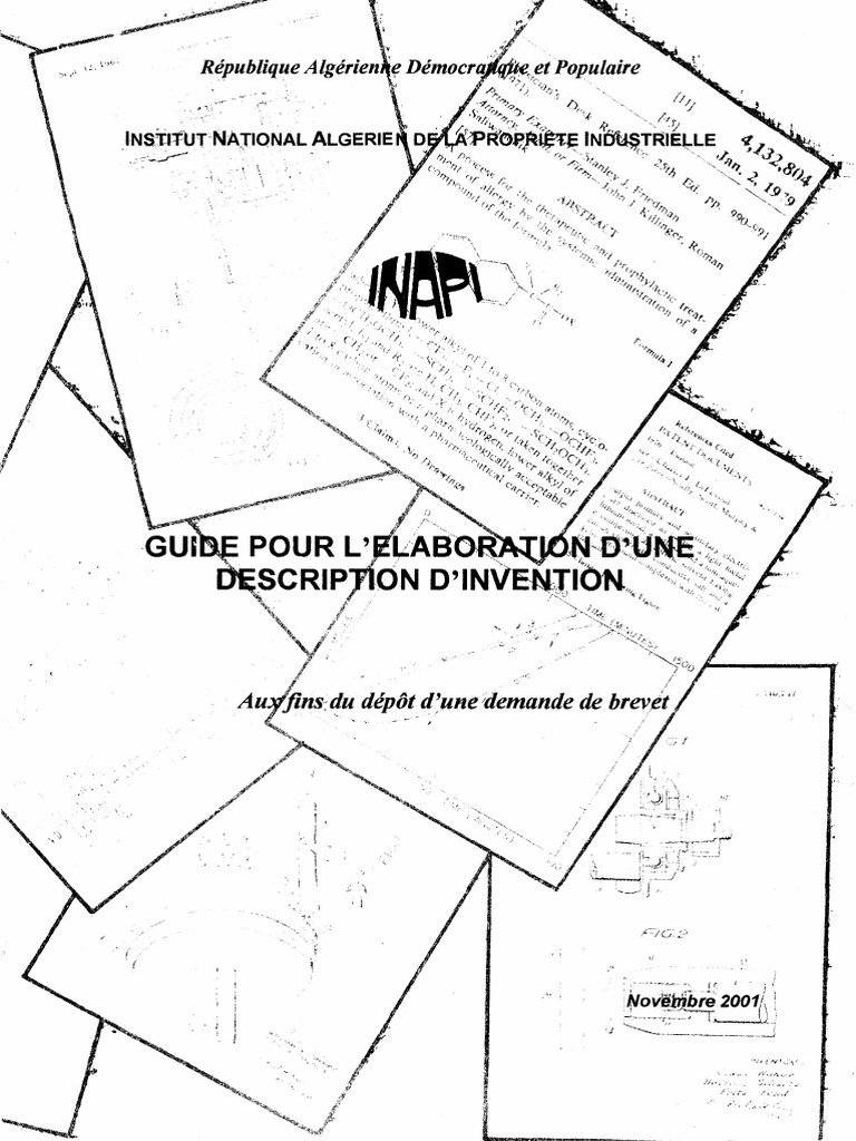 Guide Brevet INAPI | PDF
