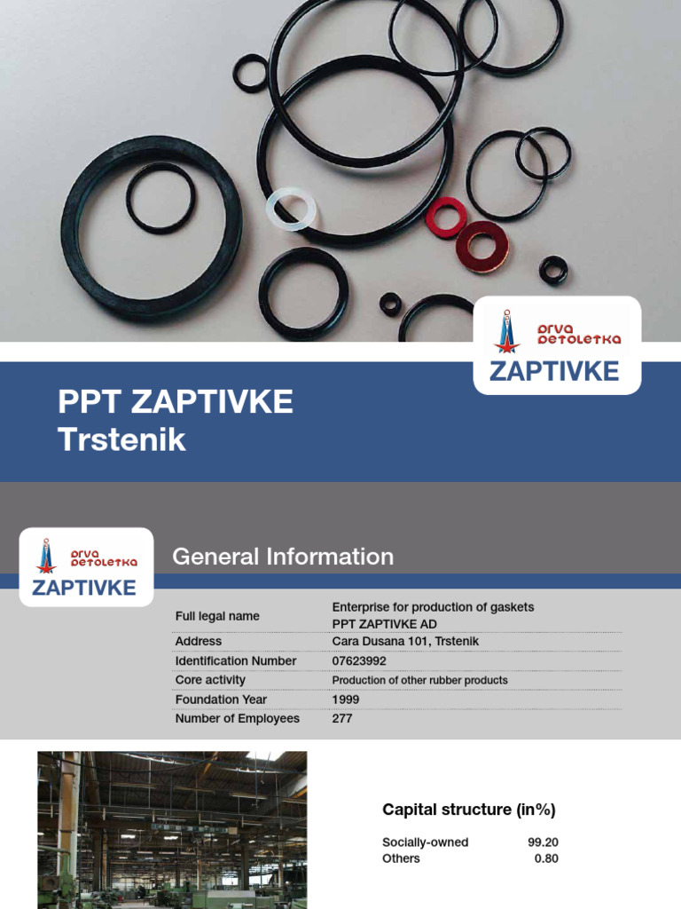 Industrial Investors' Guide | PDF | Serbia | Financial Statement