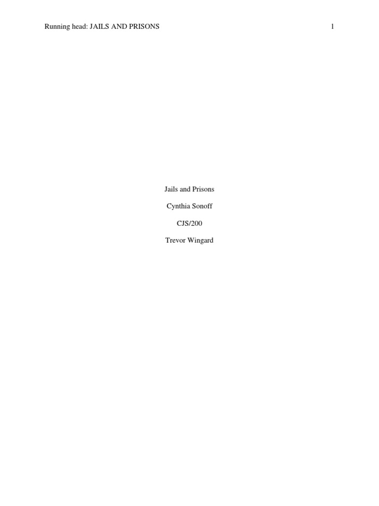 Jail and Prisons | PDF