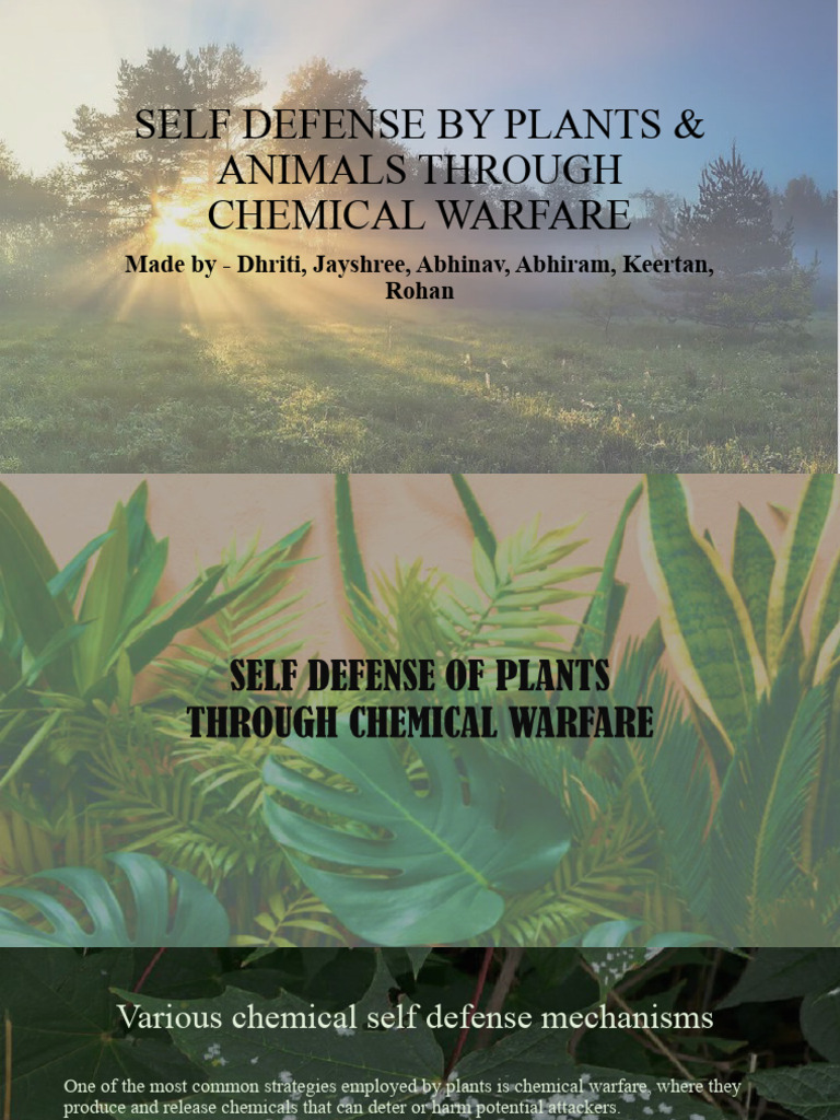 Chemical Warfare in Animal and Plant Defense | PDF | Science & Mathematics