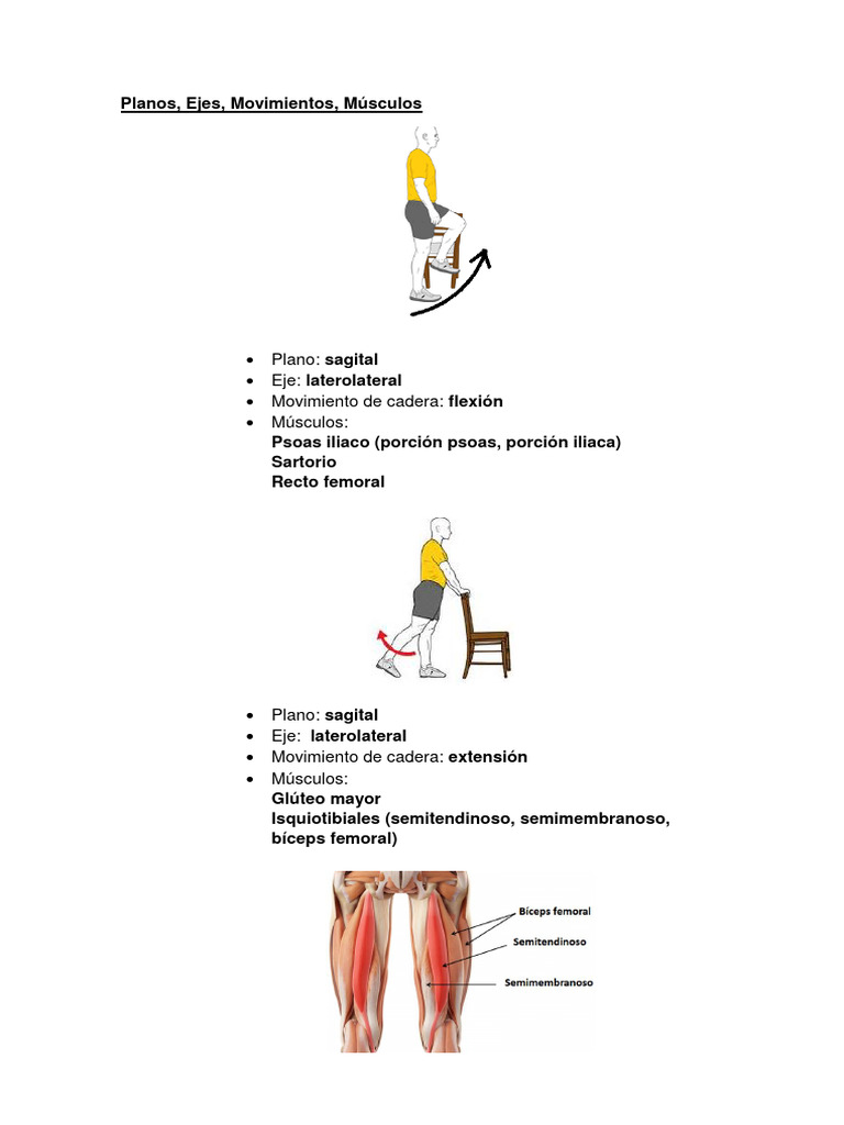 Planos, Ejes, Movimientos y Musculos | PDF | Hombro | Sistema ...