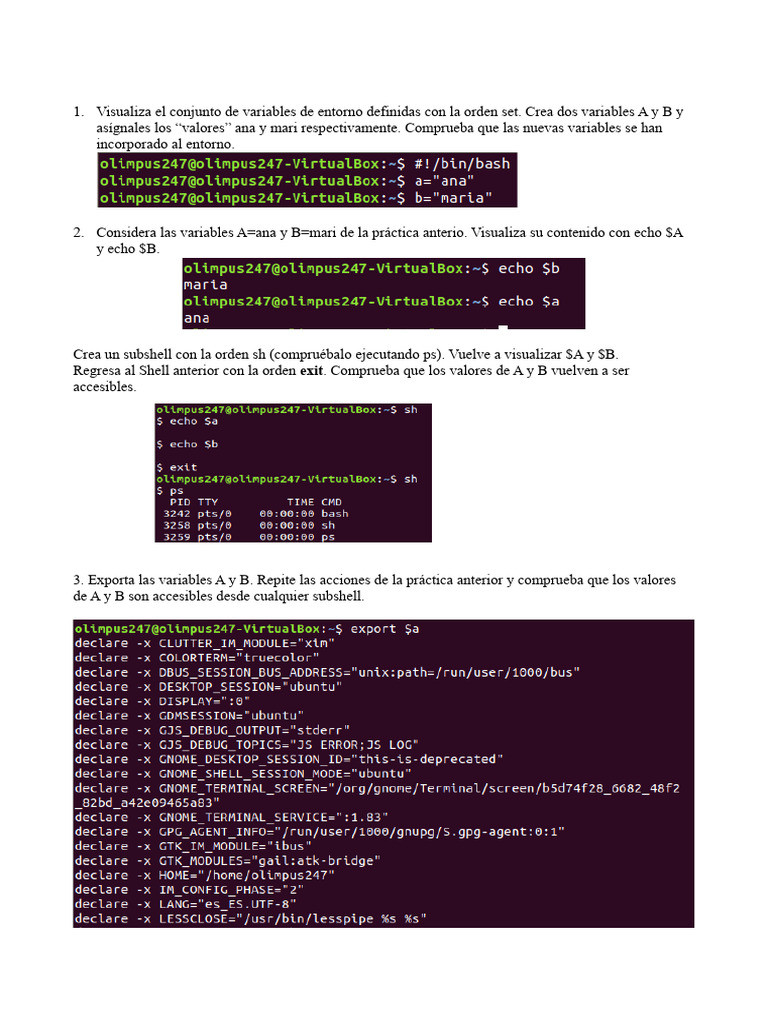 Shell | PDF | Programación de computadoras | Informática