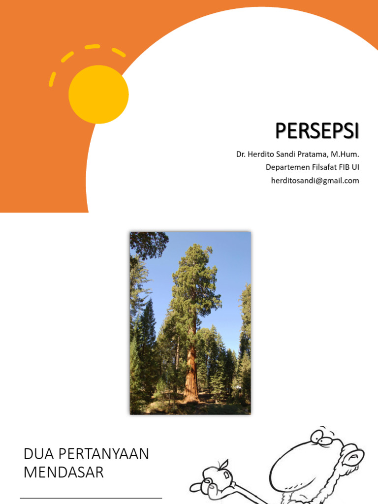 HSP - Persepsi | PDF | Pengembangan Diri | Sains & Matematika