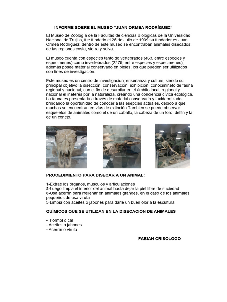 Informe Sobre El Museo F100 | PDF