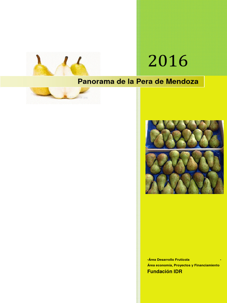 Panorama de la Pera en Mendoza | PDF | Pera | Fruta