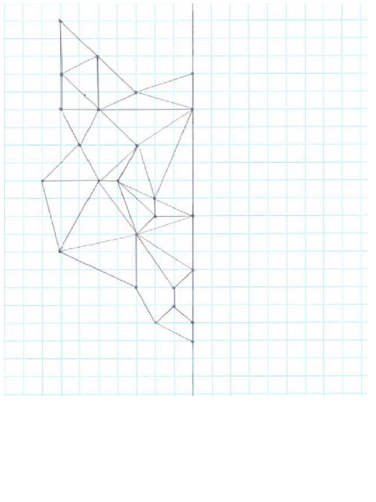 loup_symetrie_quadrillage | PDF