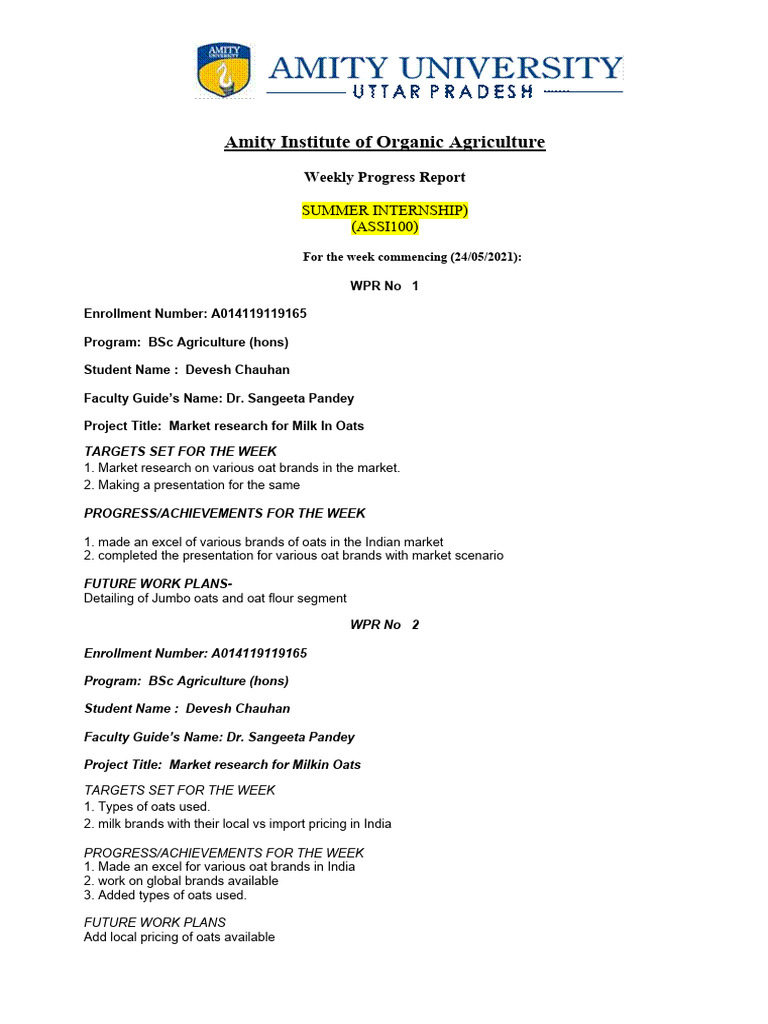 Devesh Chauhan A014119119165 Wpr Pdf Marketing Food Industry