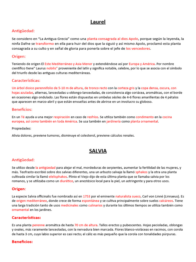Laurel | PDF | Plantas | Botánica