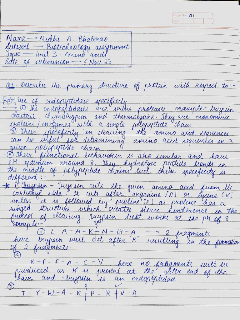 Unit3 Assignment Nidhi | PDF