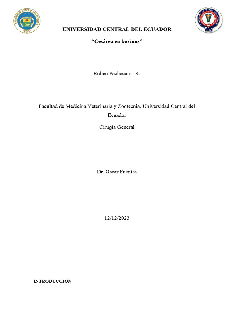 Cesárea Bovina: Técnica y Protocolo | PDF | Abdomen | Seccion de cesárea