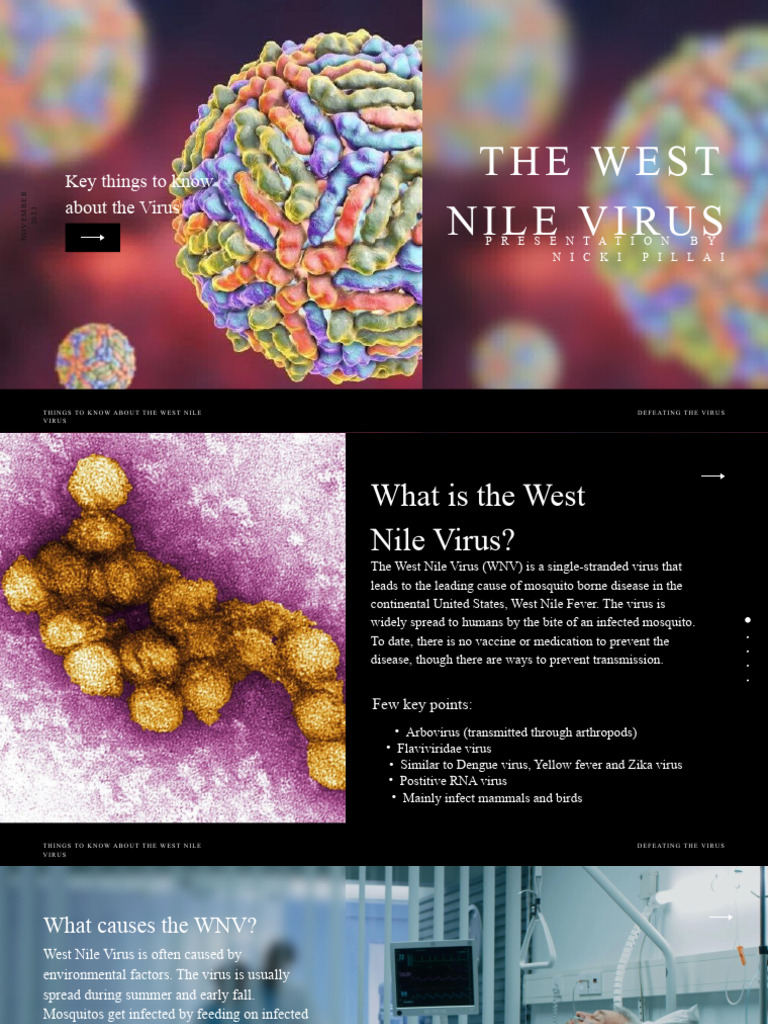 The WNV | PDF | Medical Specialties | Animal Diseases