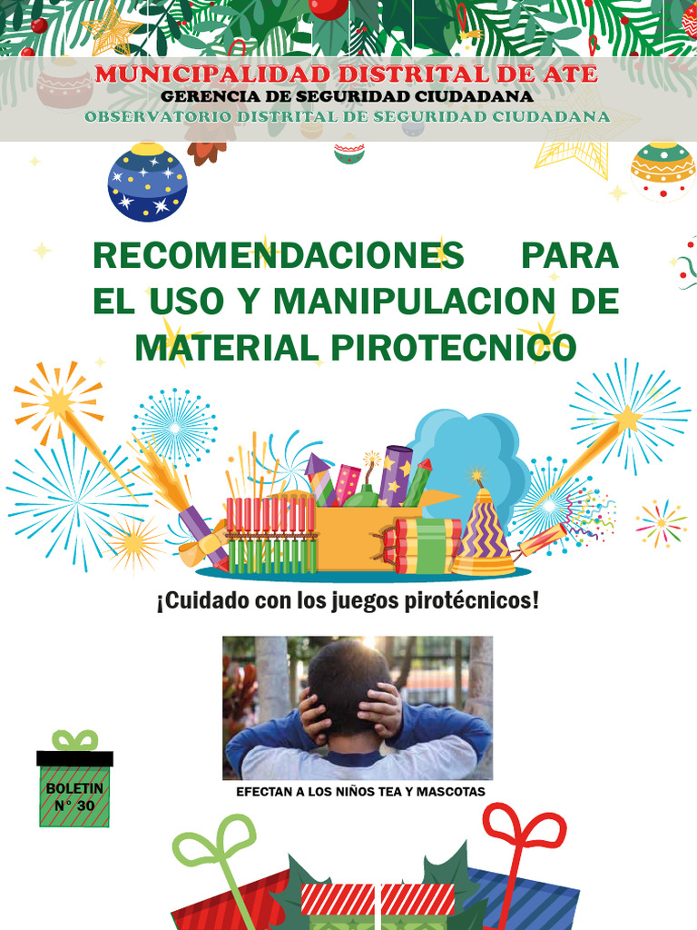 Recomendaciones sobre Pirotecnia Segura | PDF | Pirotécnica