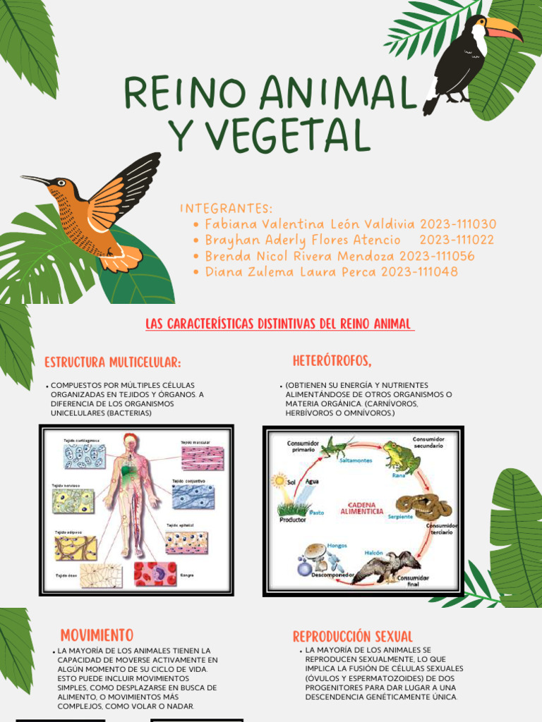Reino Animal y Vegetal | PDF | Plantas | Reproducción sexual
