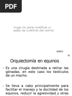 2.7. Exploración Testicular. 2.8. Escroto. 2.9. Técnicas y Maniobras de ...