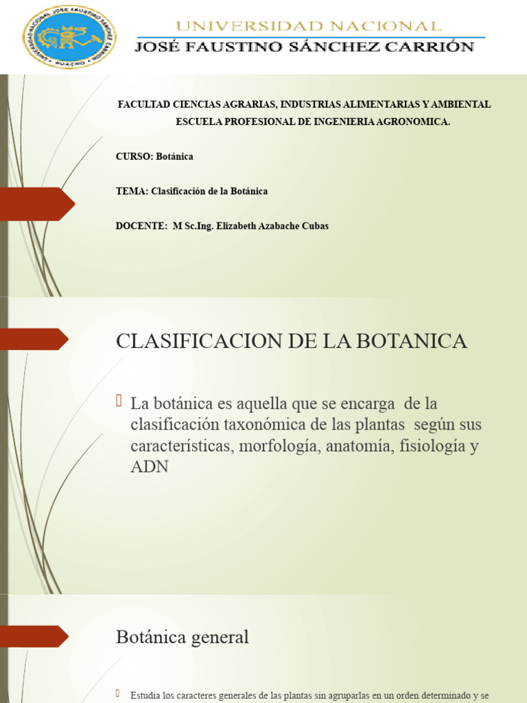 Clasificacion de La Botanica | Descargar gratis PDF | Botánica | Plantas