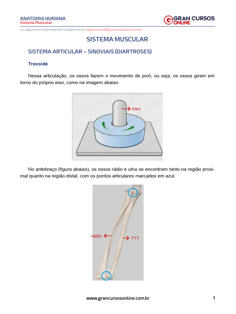 resumo_2727990-fabricio-noronha_136651185-anatomia-humana-2020-aula-15 ...