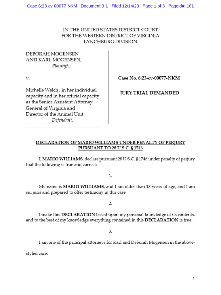 Declaration Under 28 U.S.C. § 1746 | PDF | Justice | Crime & Violence