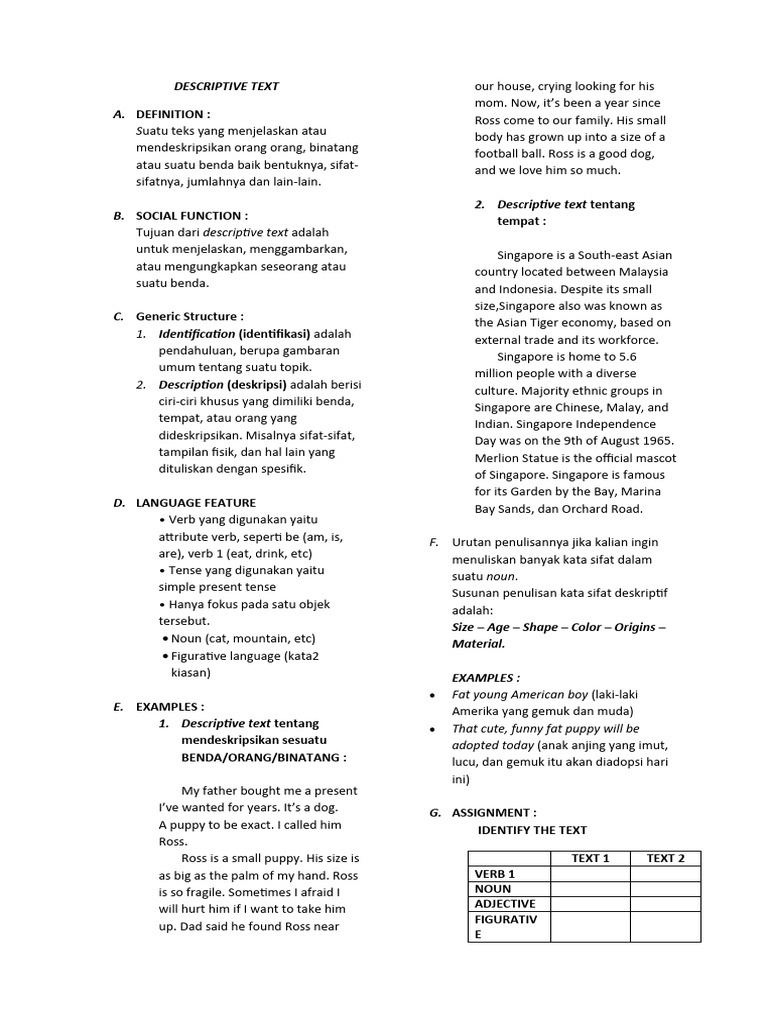Descriptive Text | PDF | Language Mechanics | Linguistic Morphology