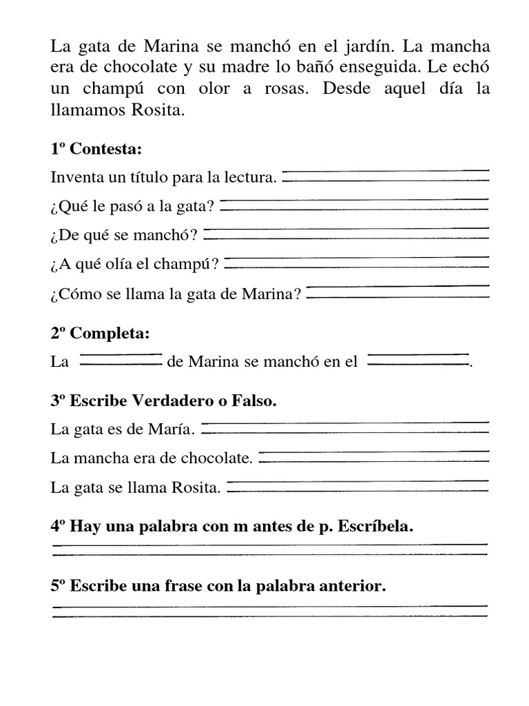 Spanish Reading Comprehension Lectura Comprensiva 5 | PDF