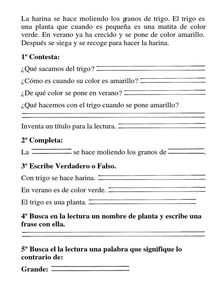 Spanish Reading Comprehension Lectura Comprensiva-9 | PDF