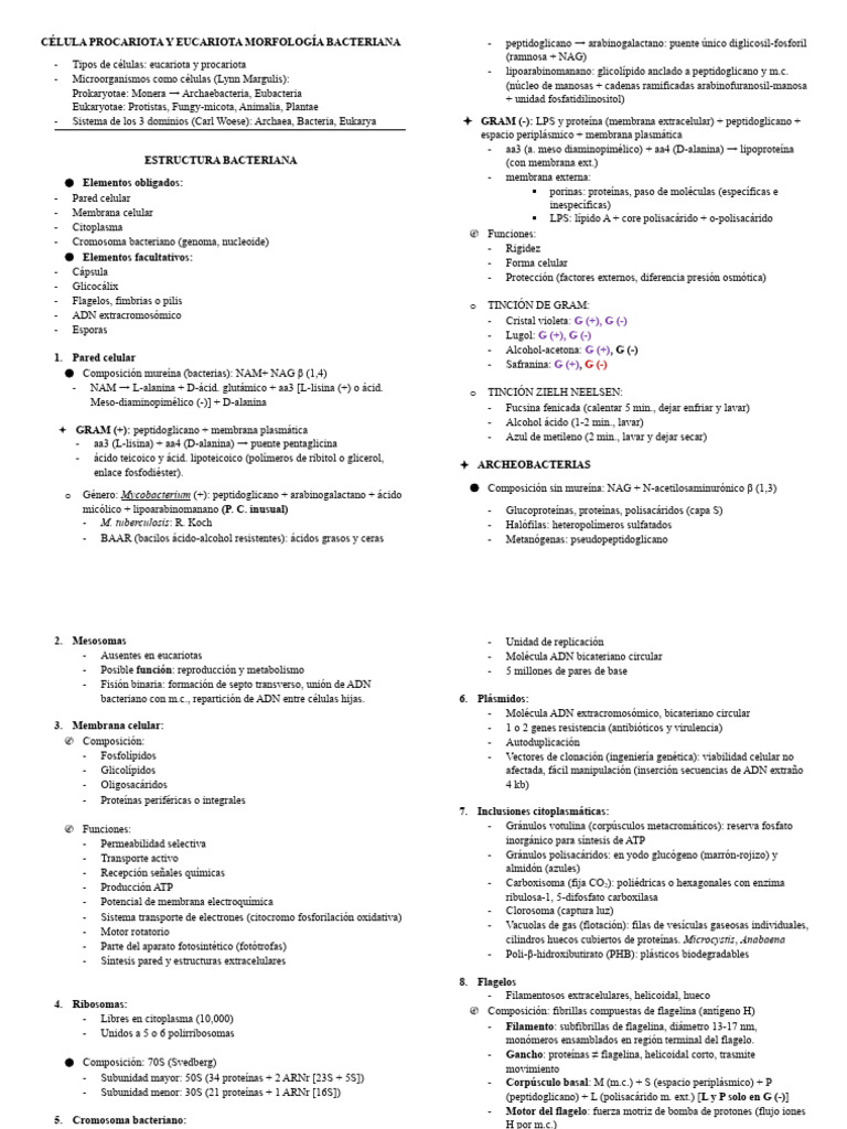 Unidad 1 Microbiología | PDF | Las bacterias | Biología Celular)
