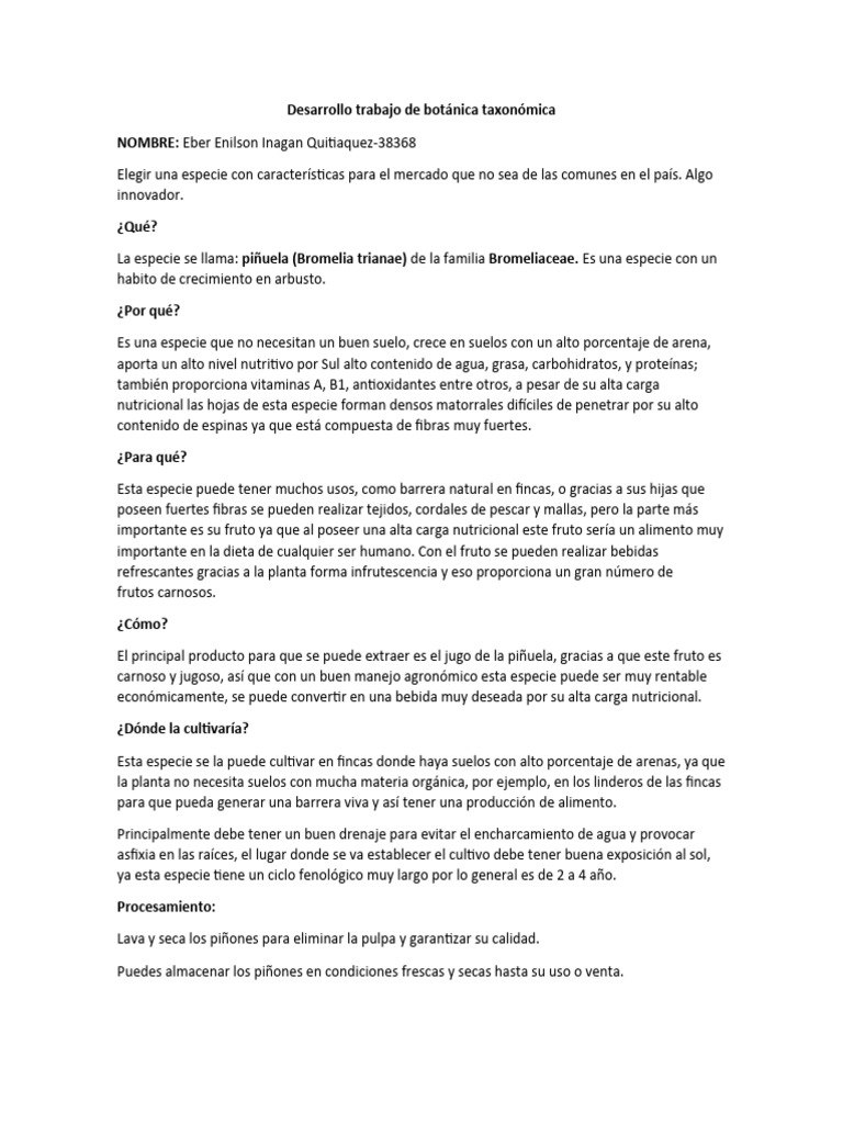 PIÑUELO | PDF | Nutrición | Dieta y nutrición