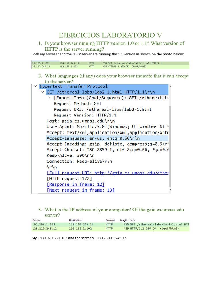 Ejercicios Lab 5 | PDF | Networking | Internet & Web