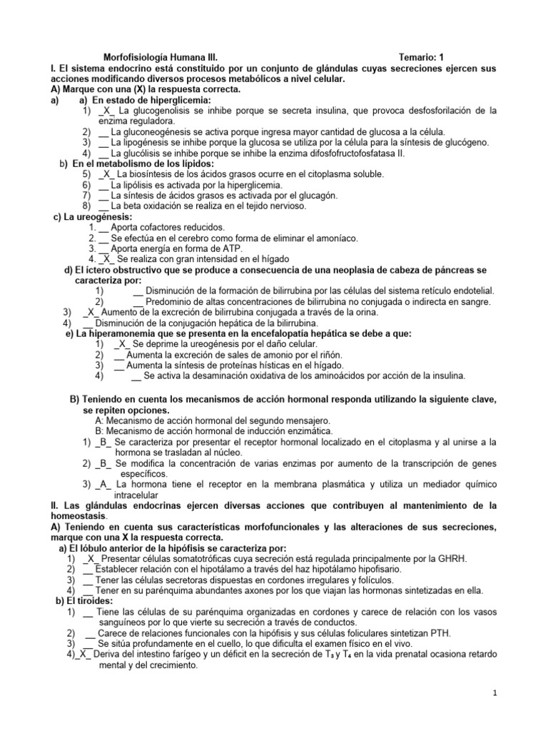 Pruebas Acomodadas Morfo III | PDF | Glándula pituitaria | Sangre