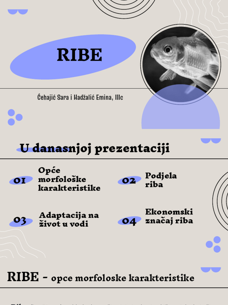 RIBE | PDF