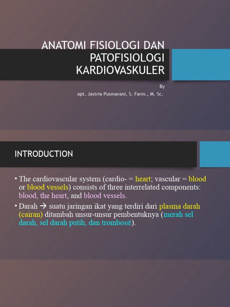 Anatomi Fisiologi Dan Patofisiologi Kardiovaskuler | PDF | Blood | Red ...