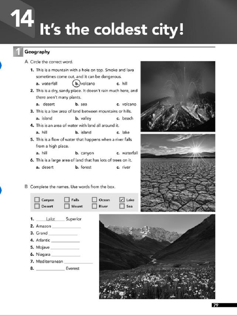 L1 Unit 14 Workbook | PDF