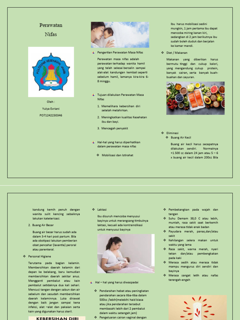 Leaflet Nifas | PDF
