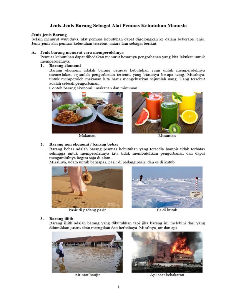 Jenis-Jenis Barang Sebagai Alat Pemuas Kebutuhan Manusia | PDF