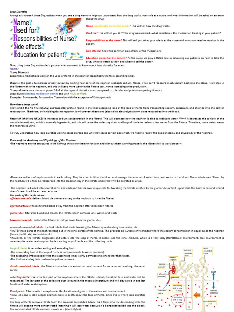 Loop Diuretics | PDF | Kidney | Urinary System