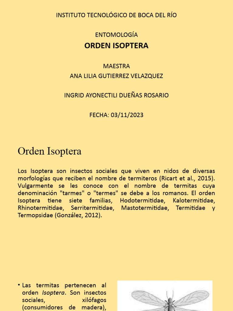 Características del Orden Isoptera | PDF | Insectos | Zoología