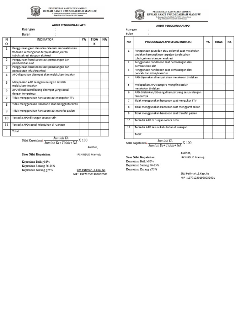Form Audit Apd | PDF