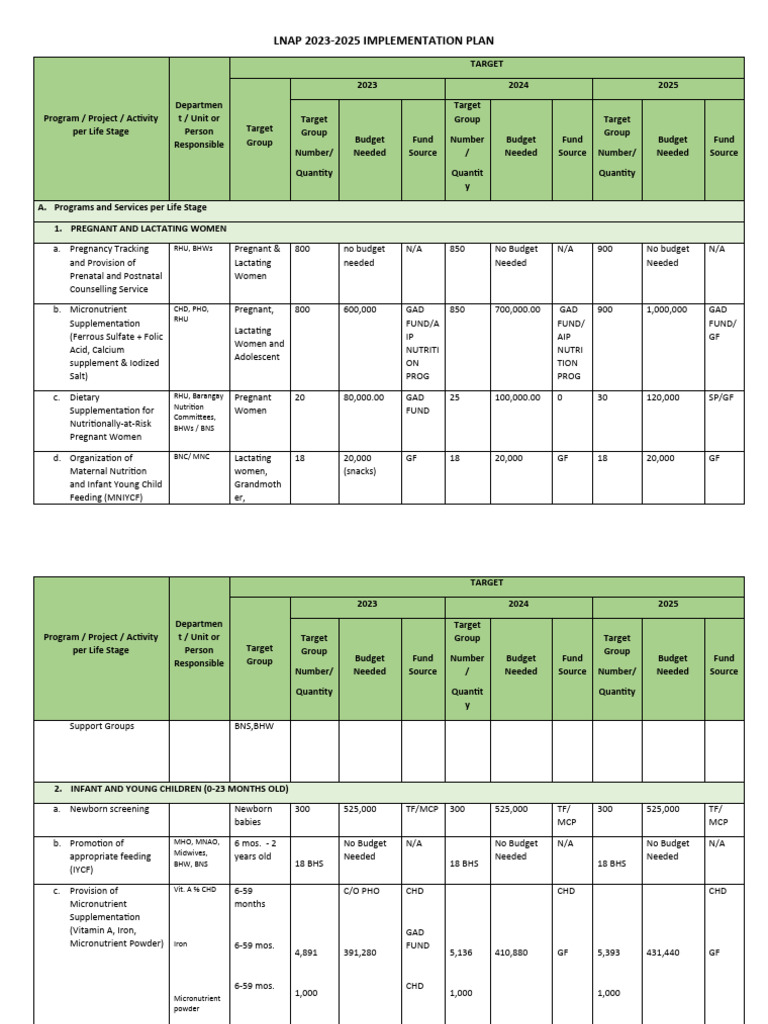 Worksheet 5. Implementation Plan (06.04.2023) (1) | PDF | Micronutrient ...