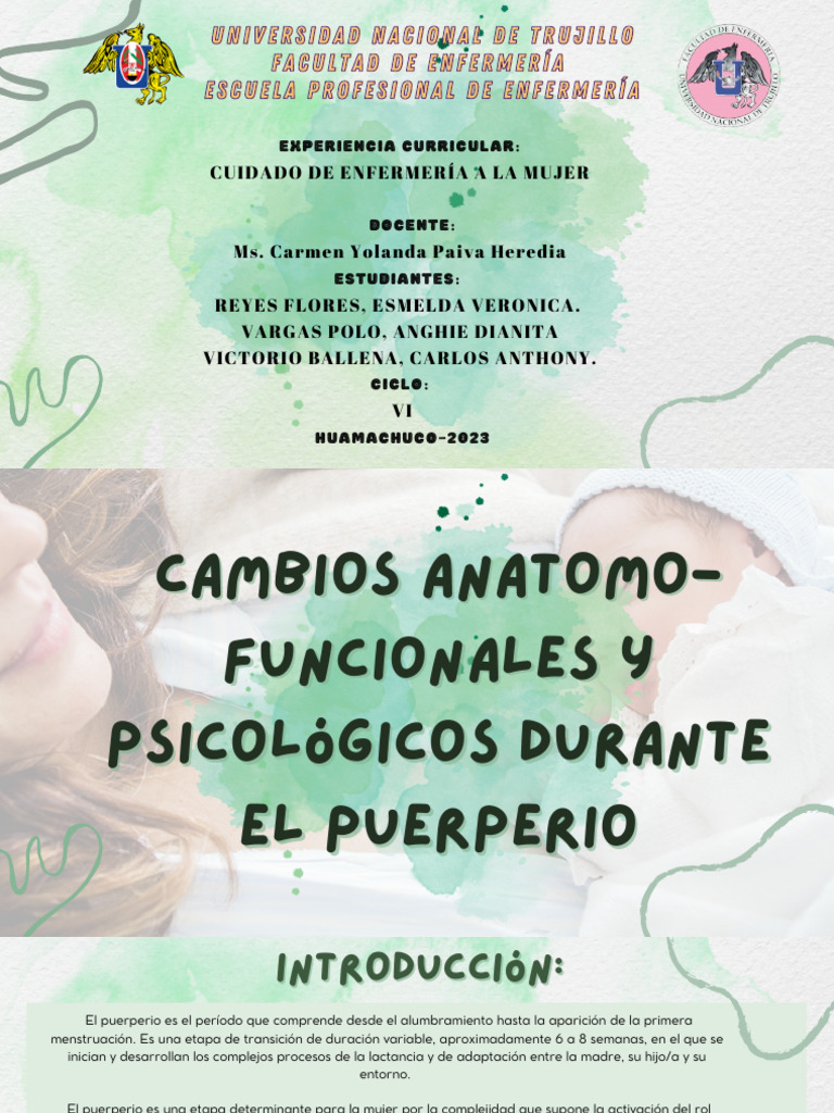 Cambios Anatomo-Funcionales y Psicológicos Durante El Puerperio | PDF ...