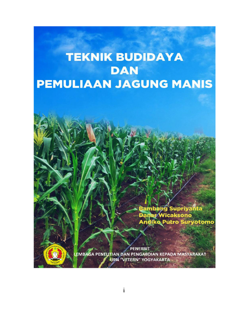 Teknik Budidaya Dan Pemuliaan Jagung Manis - 2020 - Bambang Supriyanta | PDF | Teknologi & Rekayasa