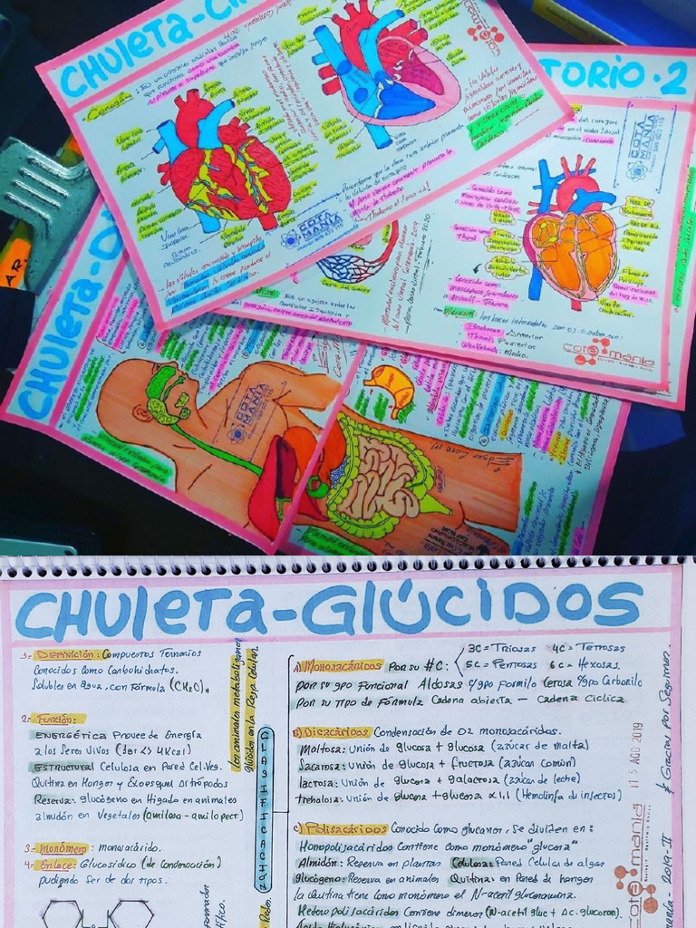 Colección Chuletas Cotamania | PDF