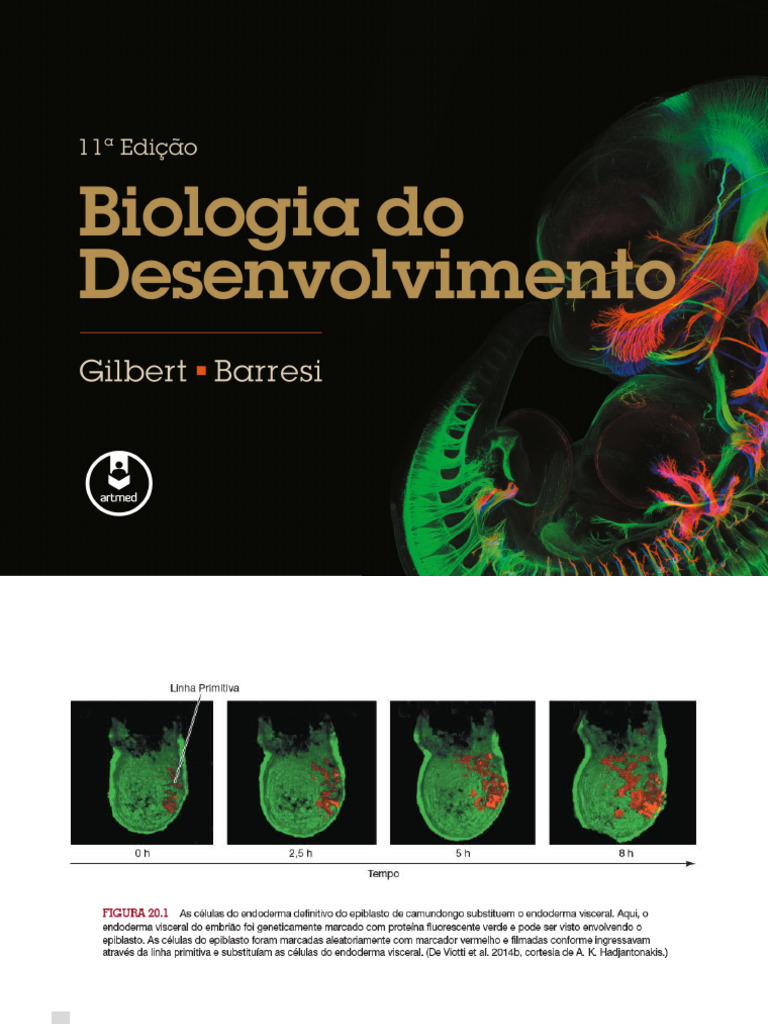 BIOLOGIA DO DESENVOLVIMENTO - GILBERT - Cap - 20 | PDF