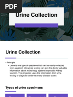 Sterile Urine Specimen Collection Guide | PDF | Urine | Infection