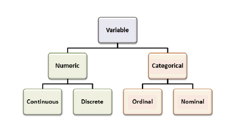 Variables in Predictive Analytics | PDF