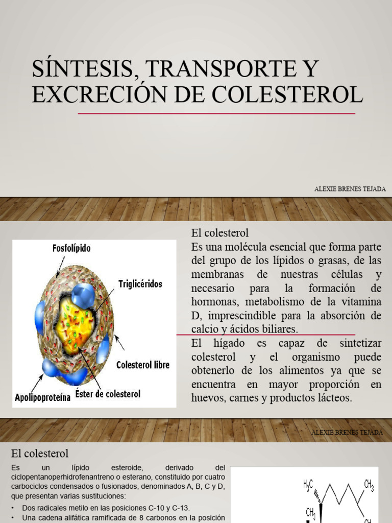 Colesterol | PDF | Colesterol | Lípido