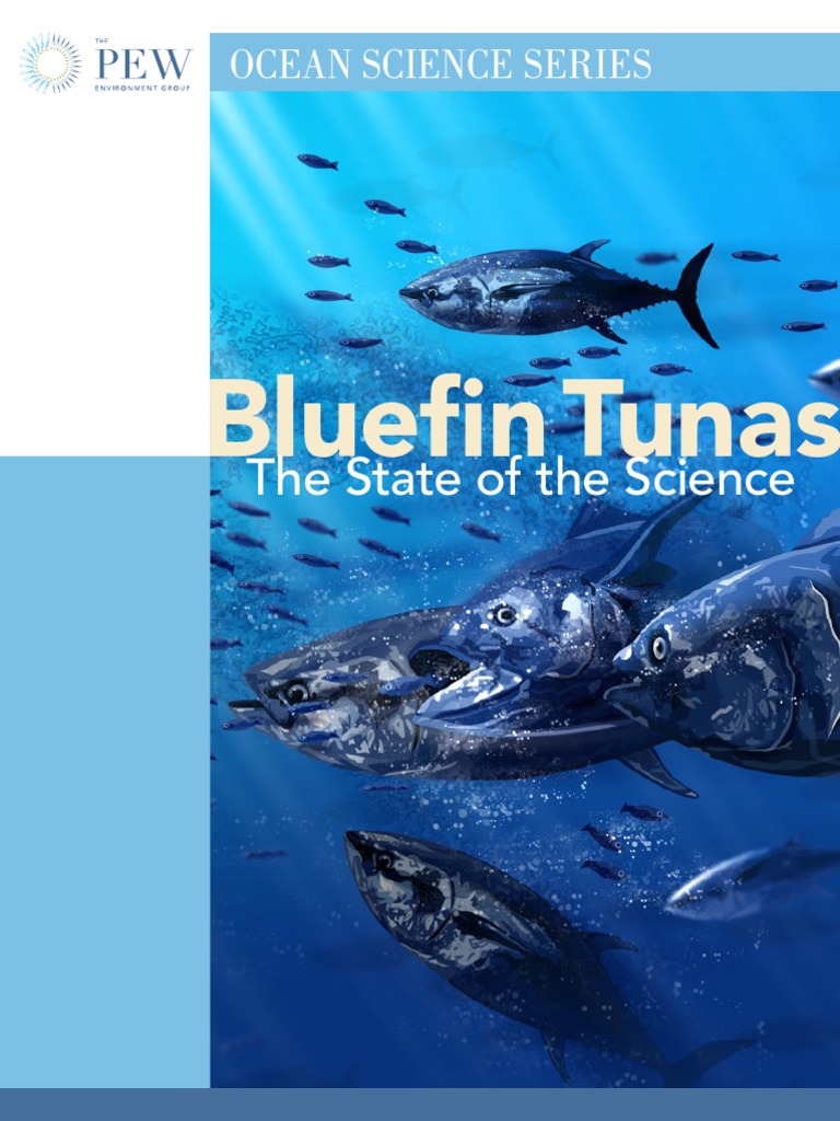 Bluefin Tunas: The State of The Science | PDF | Tuna | Overfishing