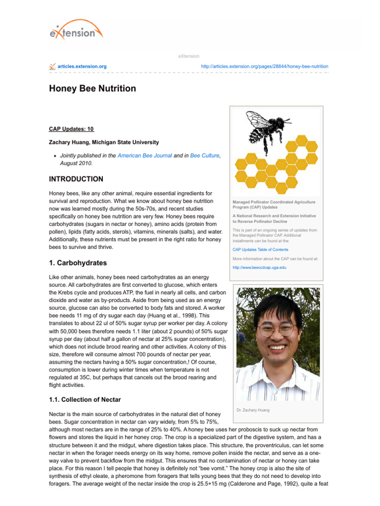 Honey Bee Nutrition by Zachary Huang | PDF | Honey Bee | Honey