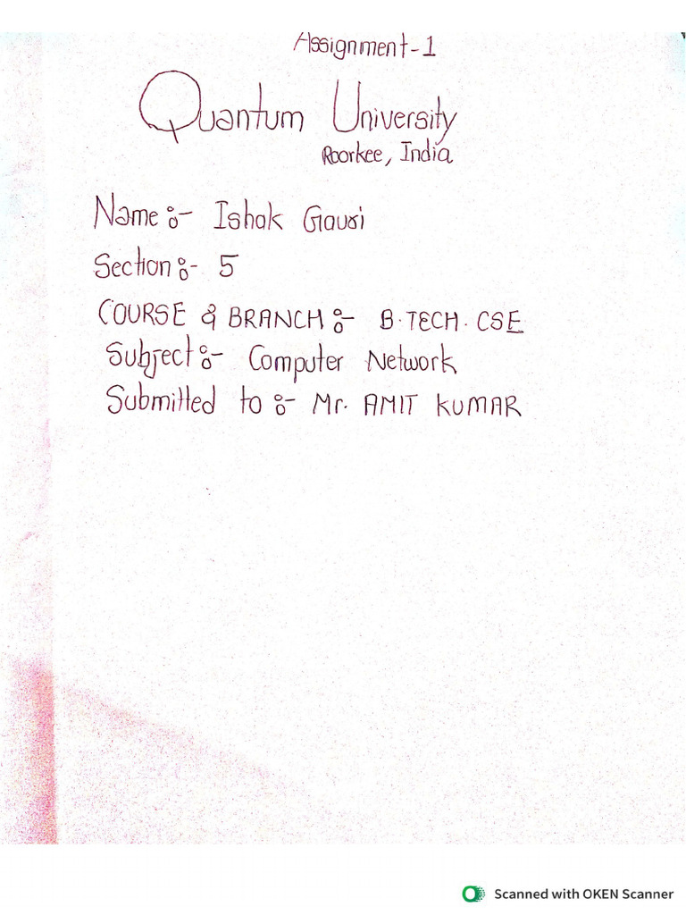 Computer Networking Assignment | PDF