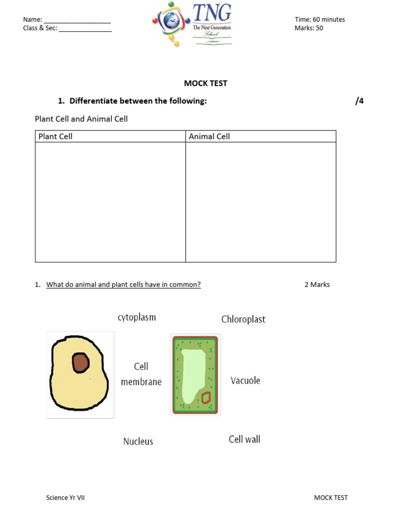 MOCK TEST Grade 7-2023-2024 | PDF | Tissue (Biology) | Cell (Biology)