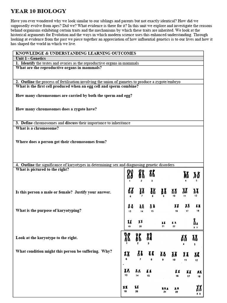 Year 10 Biology: Genetics & Evolution | PDF | Dominance (Genetics) | Zygosity